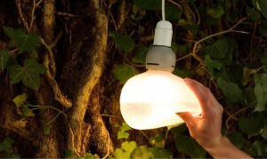 Booo : Lightbulbs – Studio Flodeau